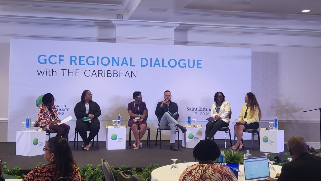 Climate Finance Unit – Ministry of Economic Transformation